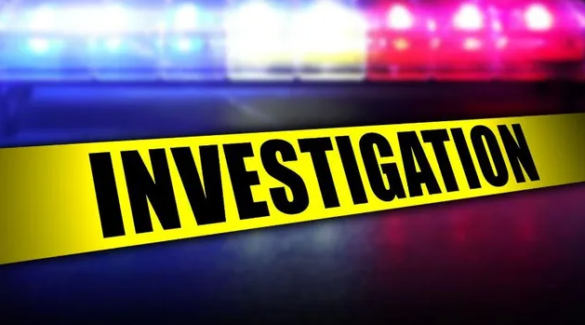 SMPSO Investigating after Suspect Allegedly Releases Dogs to Attack ...