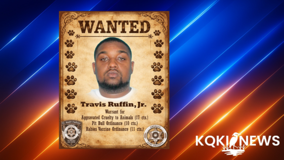 Warrant Issued for Man Accused in Suspected Dogfighting/Dog Cruelty ...